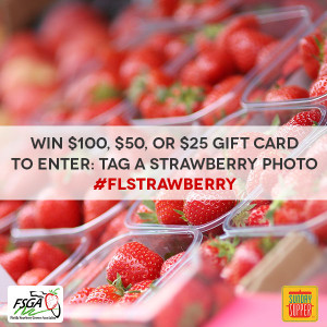 Instagram-Strawberry-300x300 - Cindy's Recipes and Writings